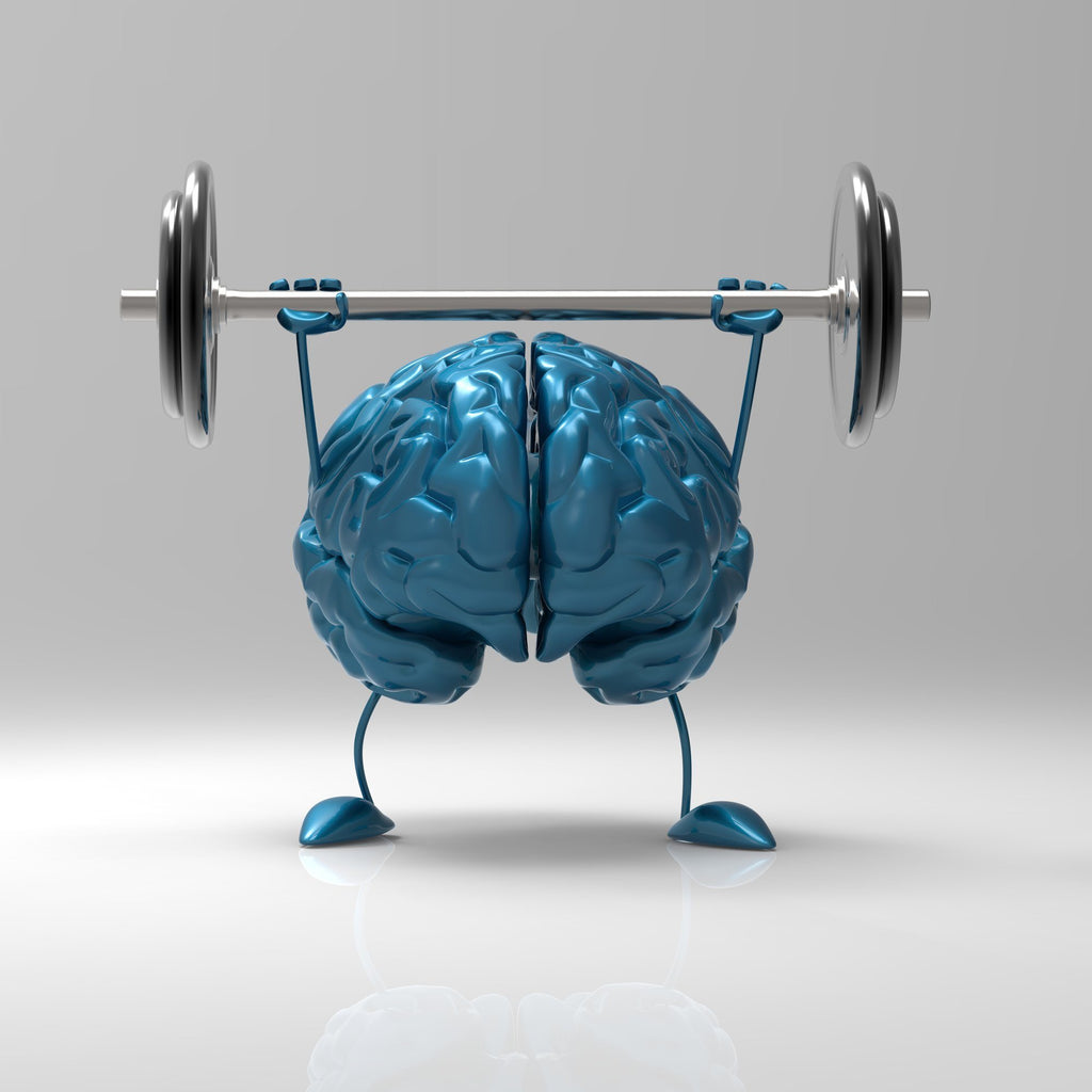 The 8 Best Nootropic Supplements for a Brain-Body Boost – VitaMonk