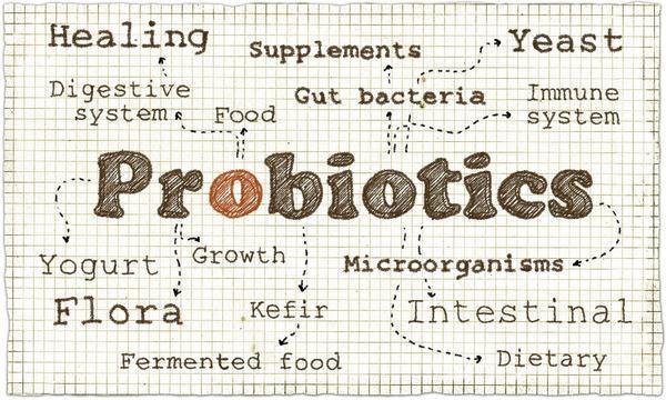 How Probiotics Can Help With Constipation - How To Use Probiotics For ...